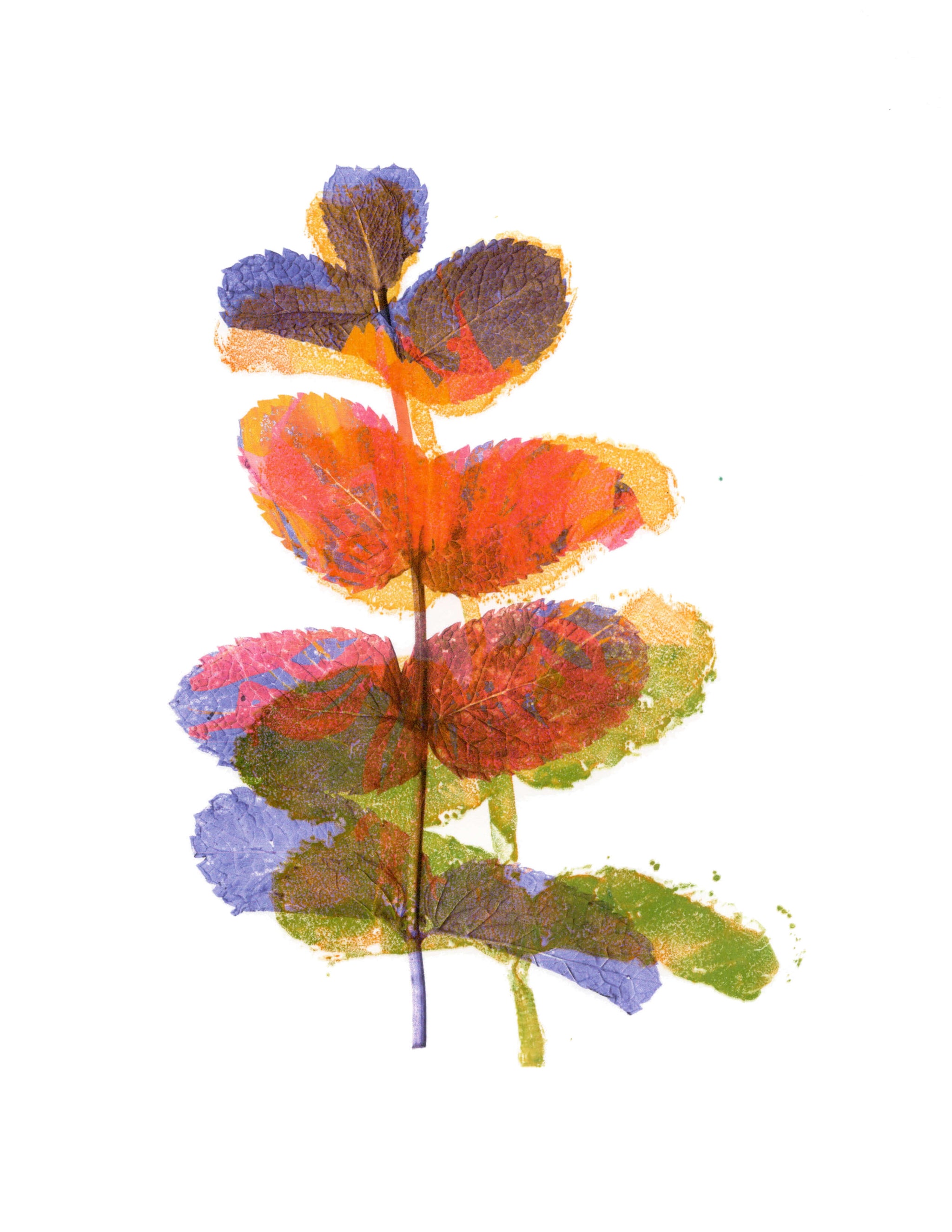postdigital ink – Postdigital Ink